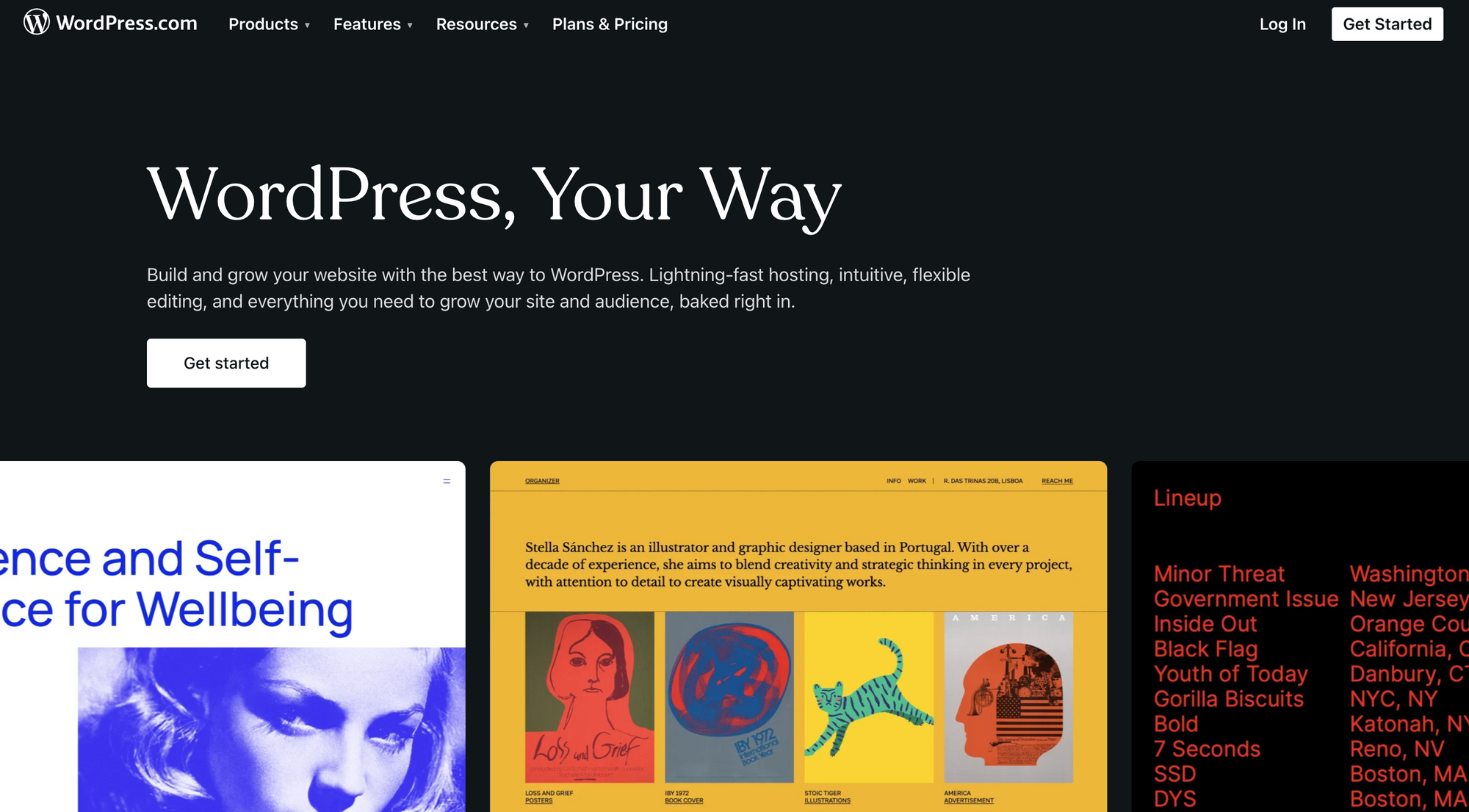 A Step-by-step Guide on Your WordPress Site Automated Testing | DogQ