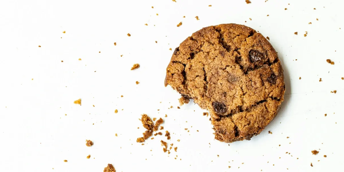 Cookies Testing in Software Testing: Best Practices | DogQ